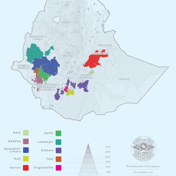 Etiyopya Yirgacheffe (Gr1) Adado-Shara (Washed) - Specific Coffee ...